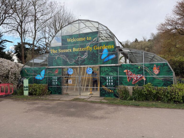 Sussex ‘All of A Flutter’ As New Butterfly Gardens Open at One Garden ...