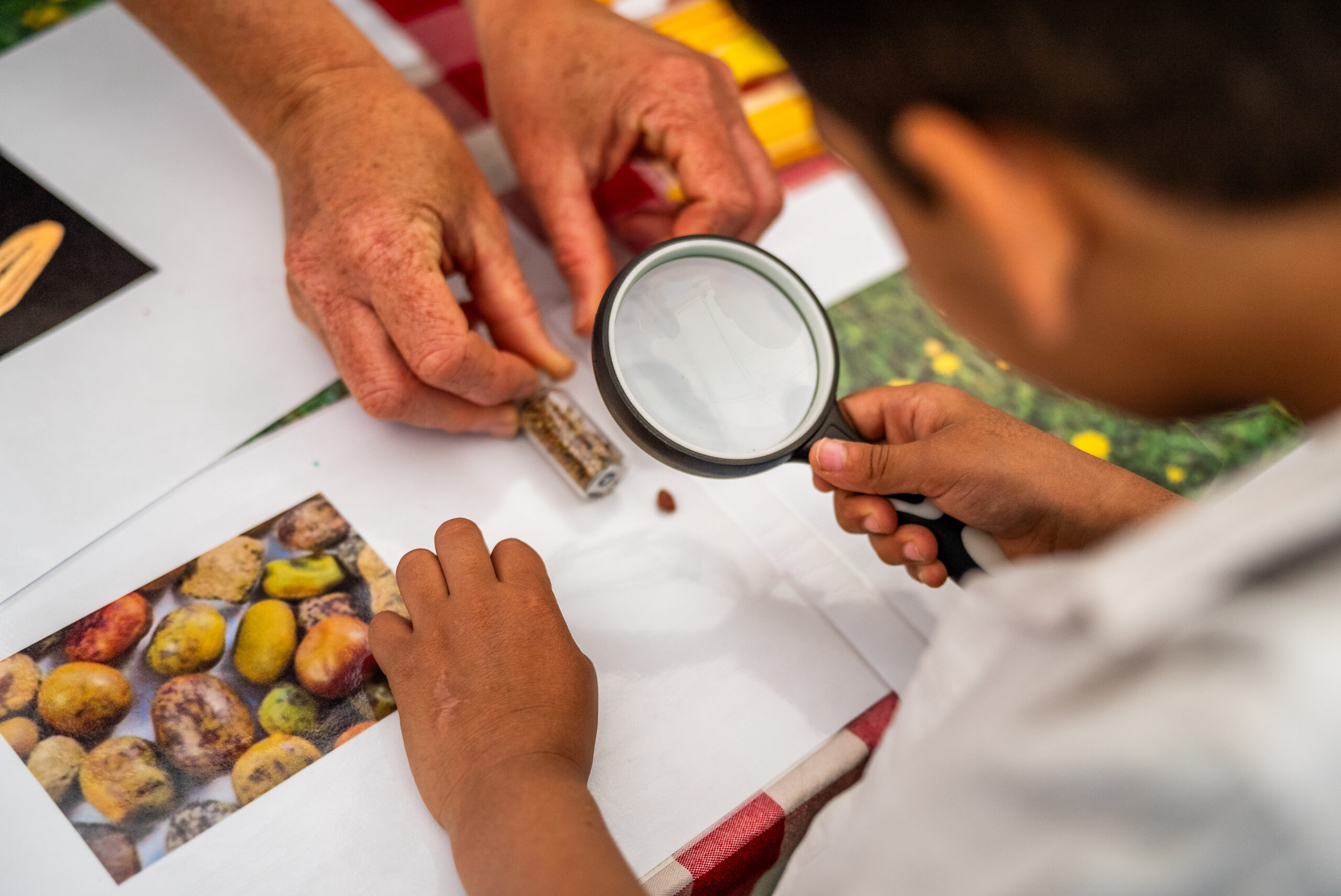 Charities and community groups invited to free events at Wakehurst this ...